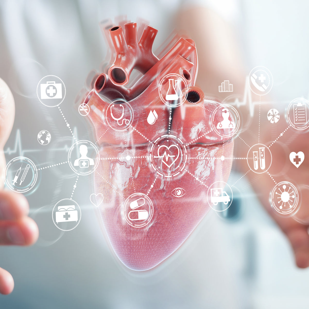 LipoCap™ Resveratrol - 30 Capsules – Micronutrition